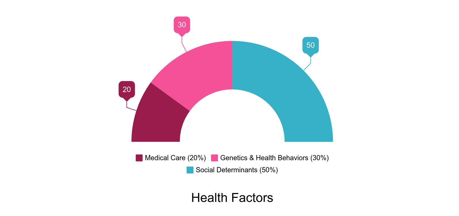 The SDOH Care Gap - Certintell